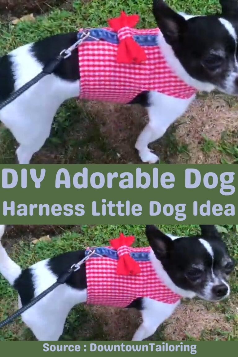 15 DIY Dog Harness Projects Easy & Custom Designs For Your Furry Friend ...