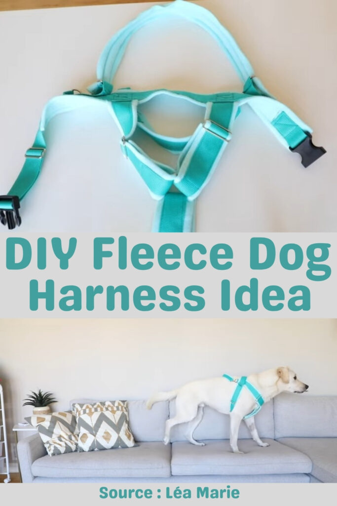 15 DIY Dog Harness Projects Easy & Custom Designs For Your Furry Friend ...