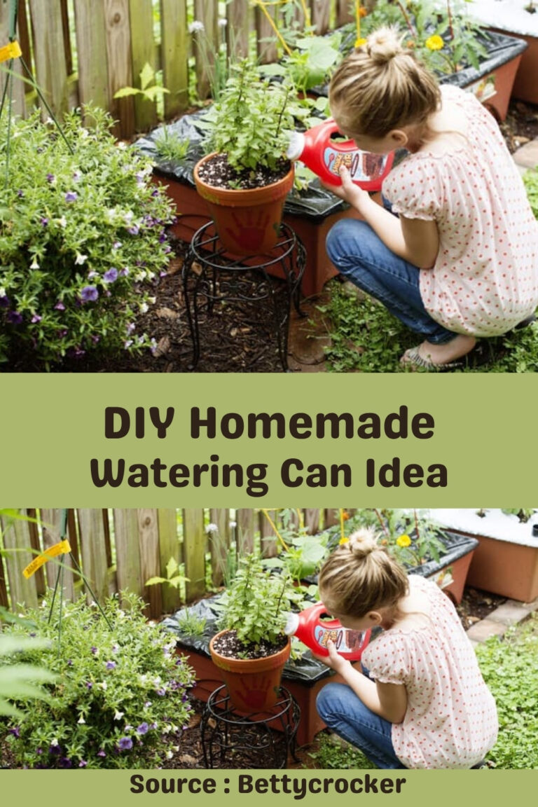 10 Creative DIY Watering Can Ideas You Can Make At Home - Crafted With ...