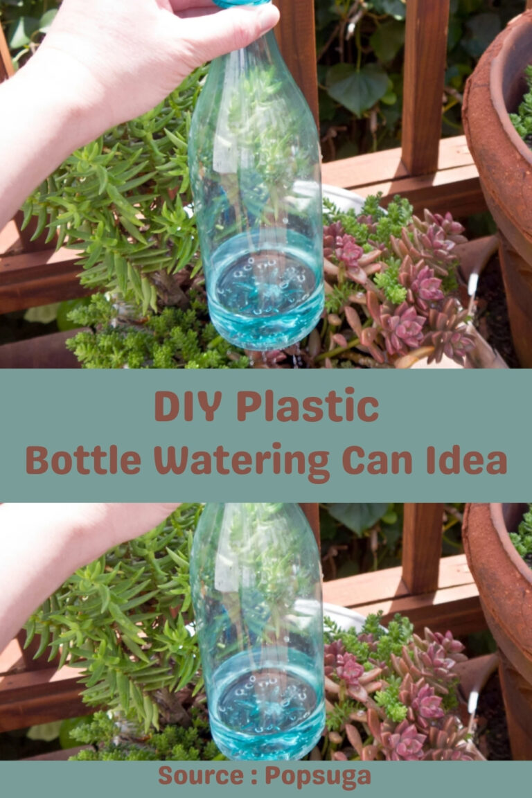 10 Creative DIY Watering Can Ideas You Can Make At Home - Crafted With ...