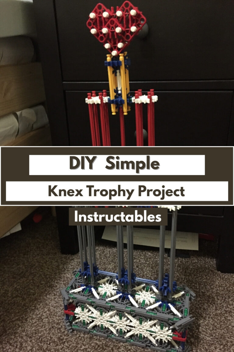 10 Creative Easy DIY Trophy Ideas For Every Occasion - Crafted With ...