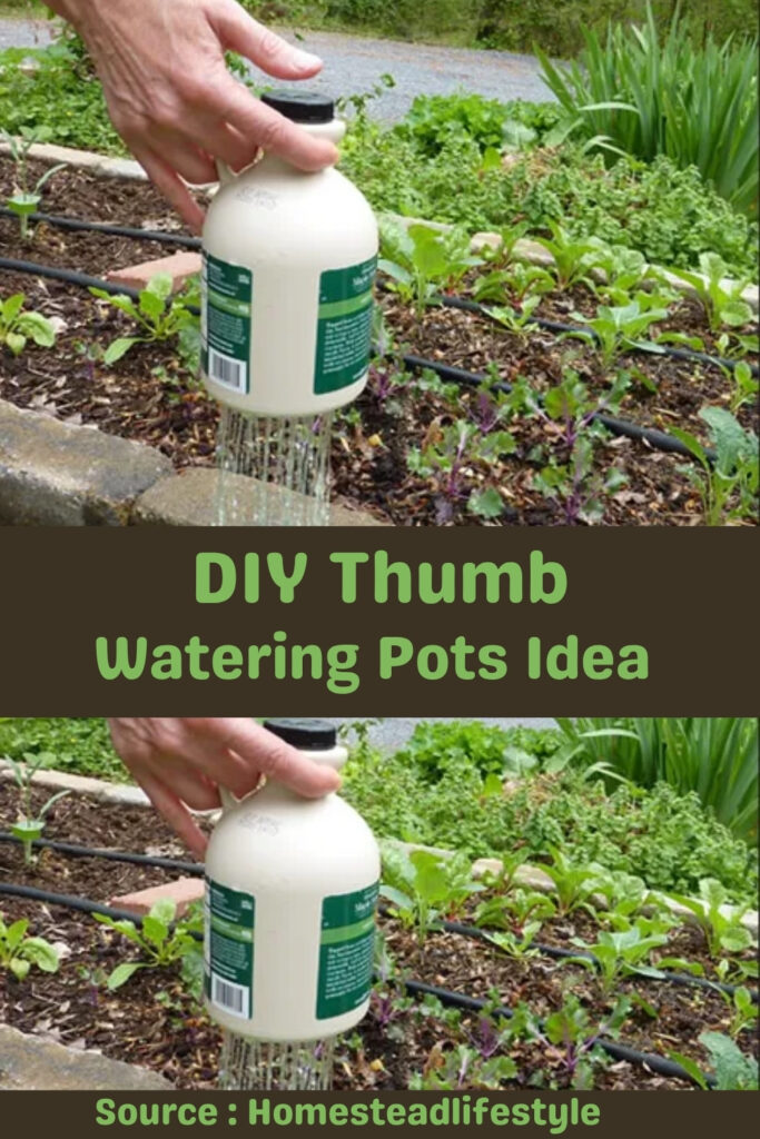 10 Creative DIY Watering Can Ideas You Can Make At Home - Crafted With ...